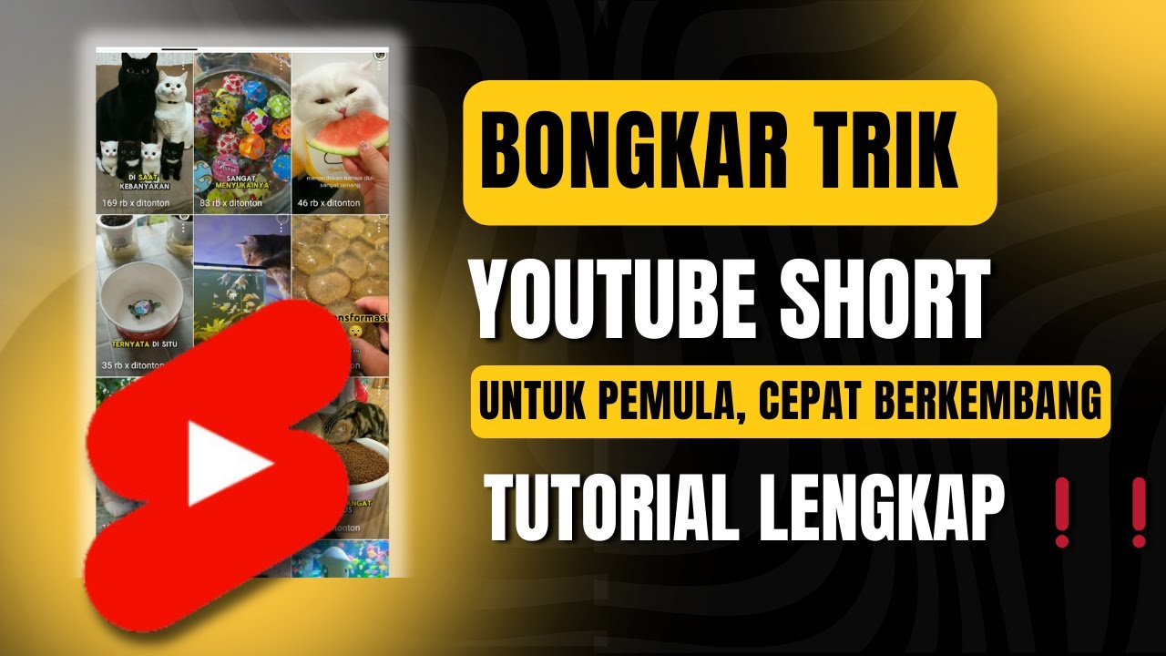 (BUKTI NYATA) Rahasia & Strategi Sukses di YouTube Shorts dengan Cepat ...