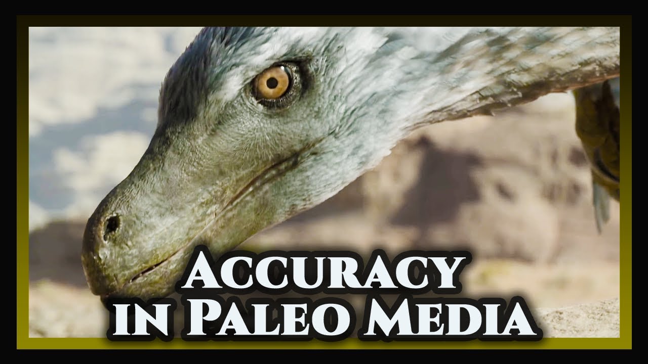 Accuracy in Paleo media - YouTube