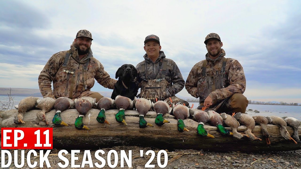 Duck Hunting - Public Land Big River Mallards! - YouTube