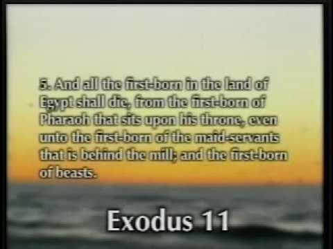 EXODUS chapter 11 Bible Reading - YouTube