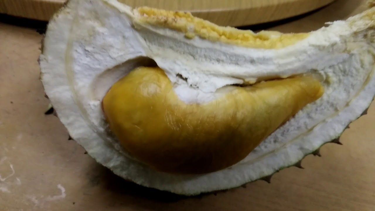 Durian duri hitam katanya kawasan junjung - YouTube