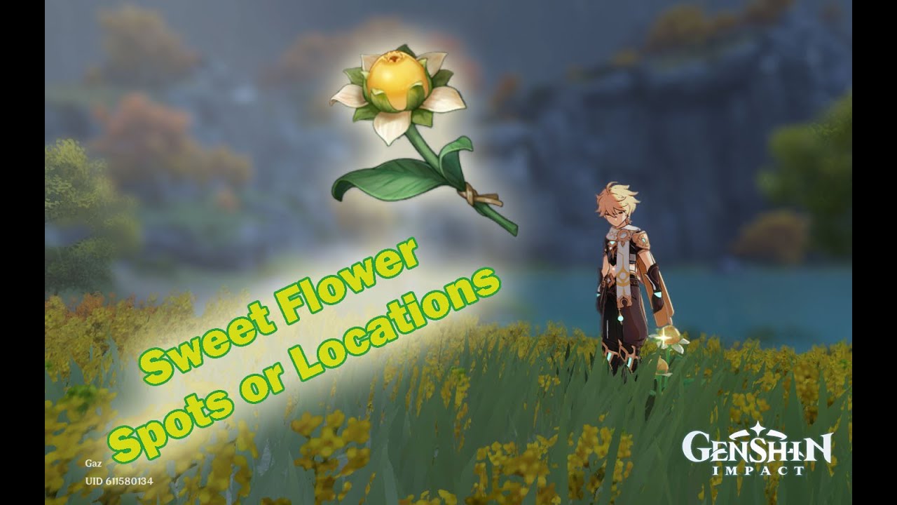 Sweet Flowers Spot Or Location - Genshin Impact | GazGamerc - YouTube
