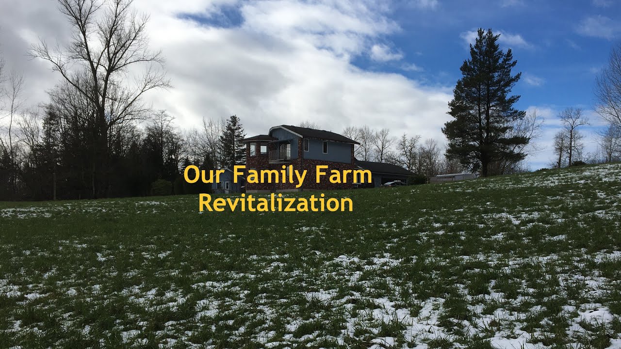 Our Family Farm Revitalization - YouTube