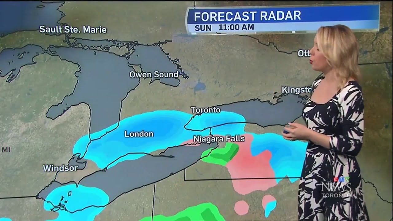 Lyndsay Morrison Weather Tight Zebra Print Dress Jan 02, 2020 - YouTube