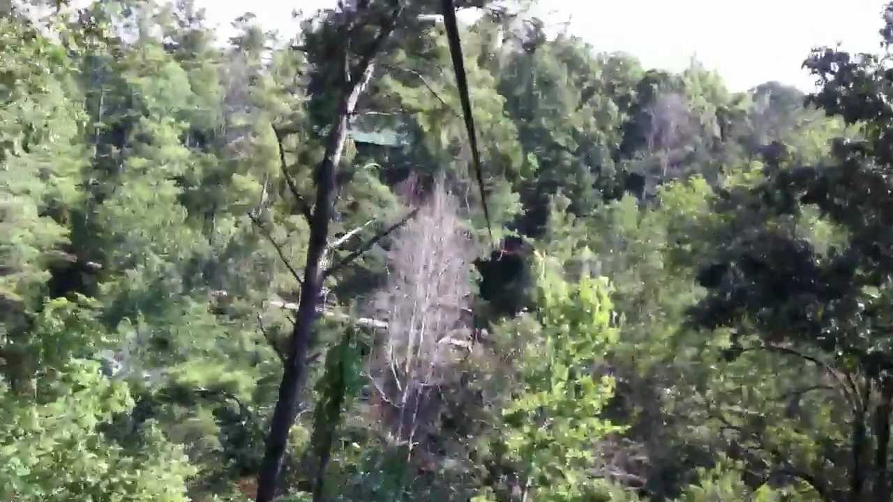 Zip Lining Over A River - YouTube