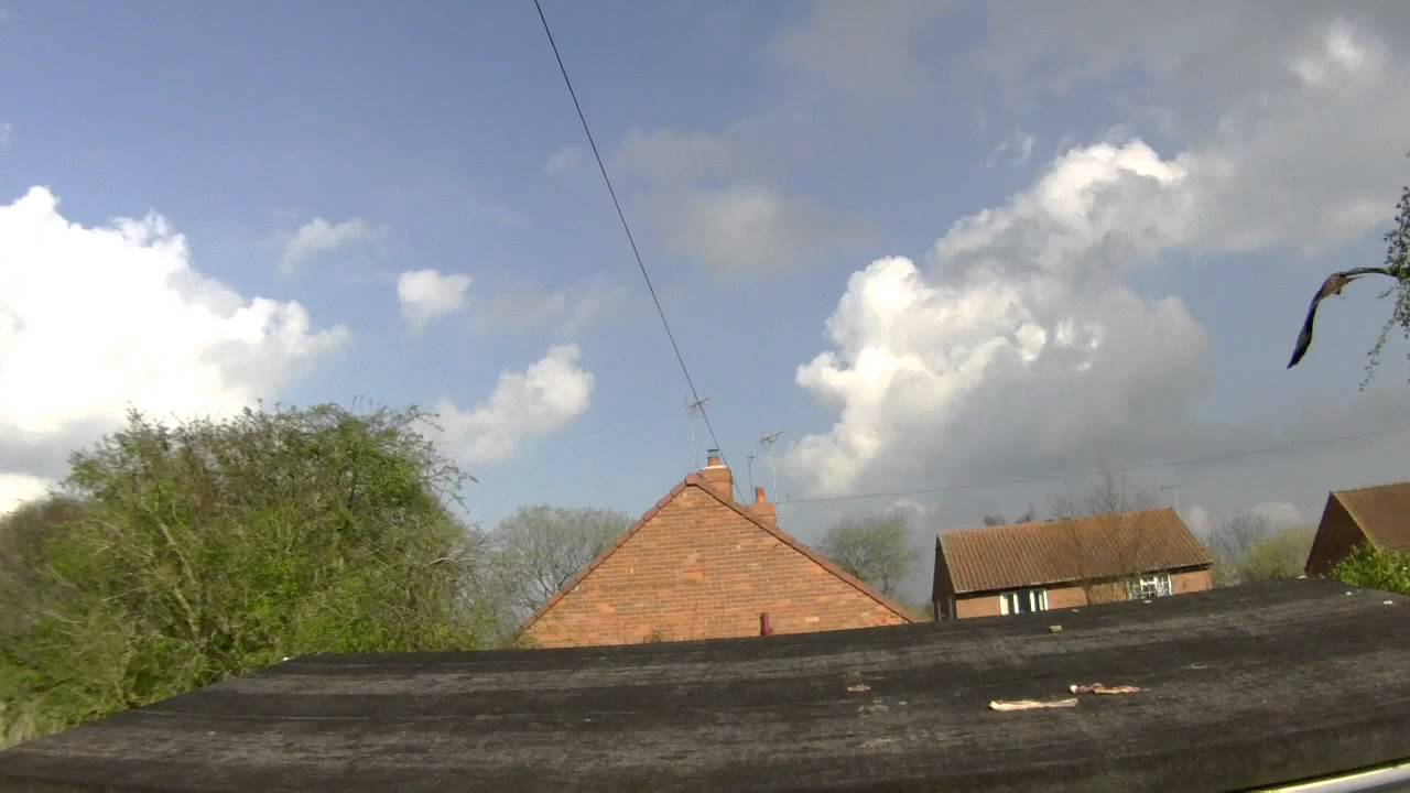 Red Kite in Scarcroft Leeds - YouTube
