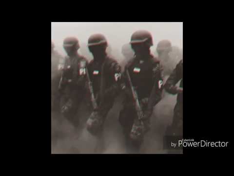 Yeni  Bass lar -2016