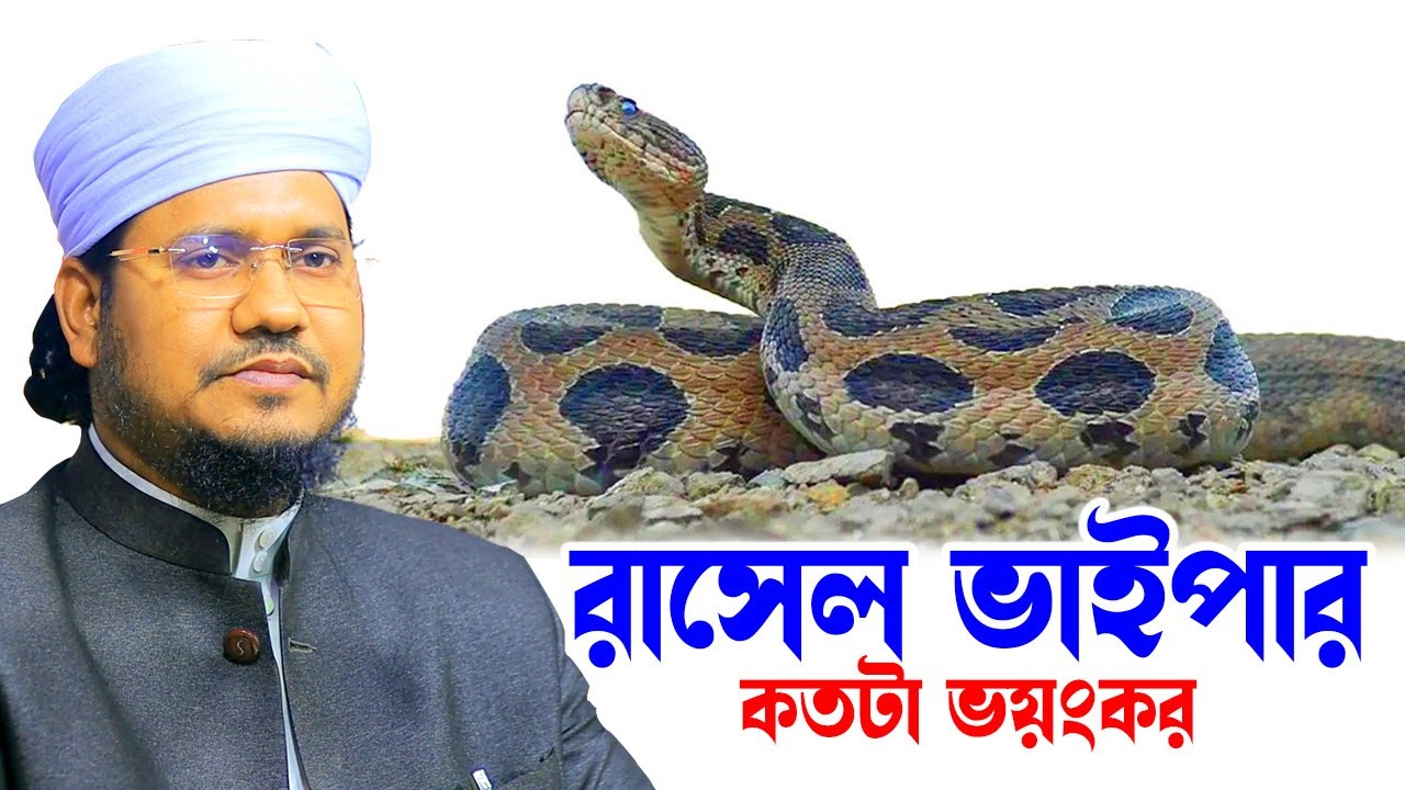 bangla waj | waj | bd waj | bangla waz waz | মোজাম্মেল সাঈদ ওয়াজ ...