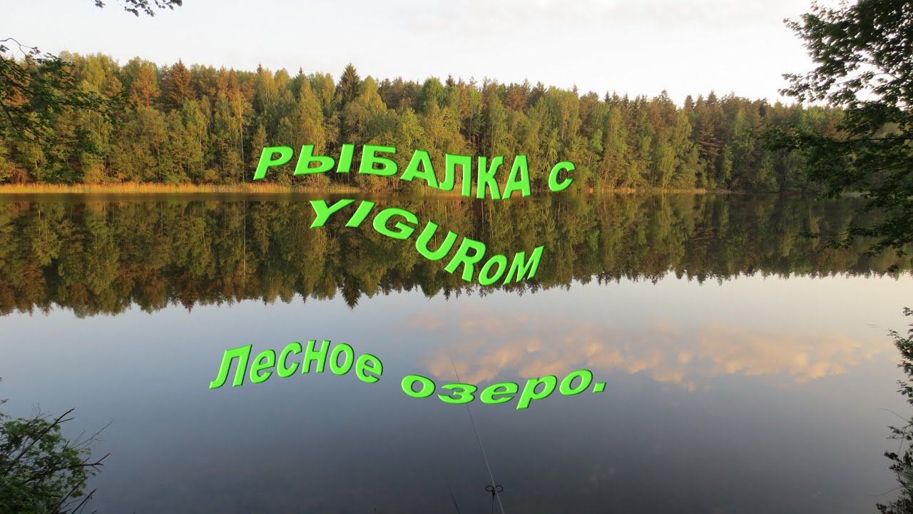 Рыбалка на лесном озере Youtube