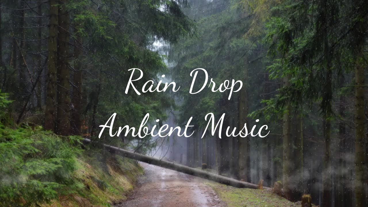 Rain Drop Ambient Music: Perfect for Meditation, Relaxation, and Sleep ...