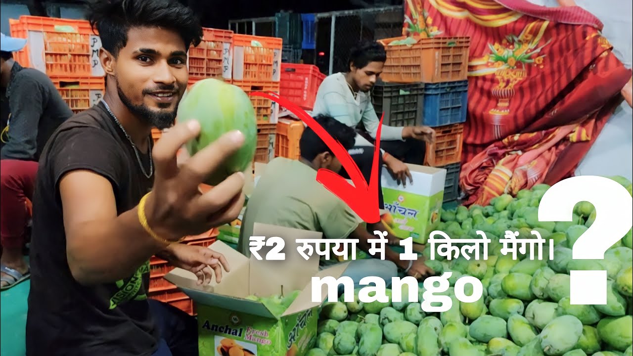 Sabse sasta mango | 2 रुपया में 1 किलो मैंगो | aam sabse kam dam main ...
