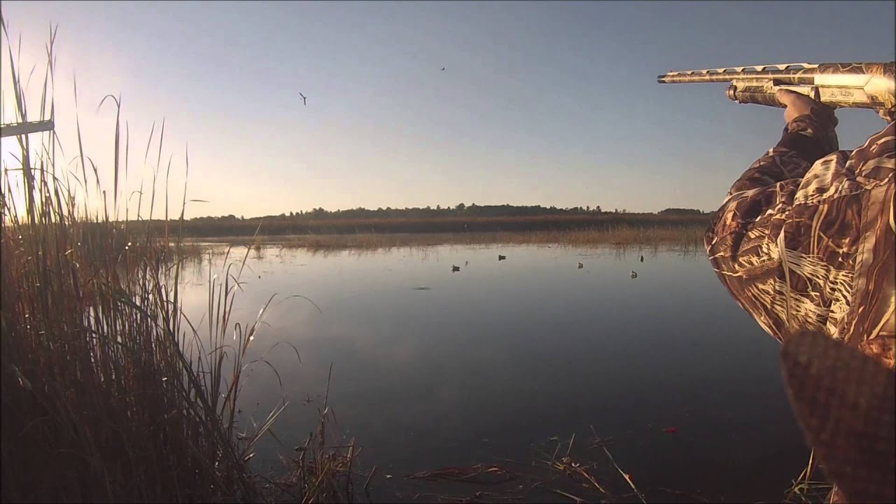 Northern Minnesota duck hunt 2015 - YouTube