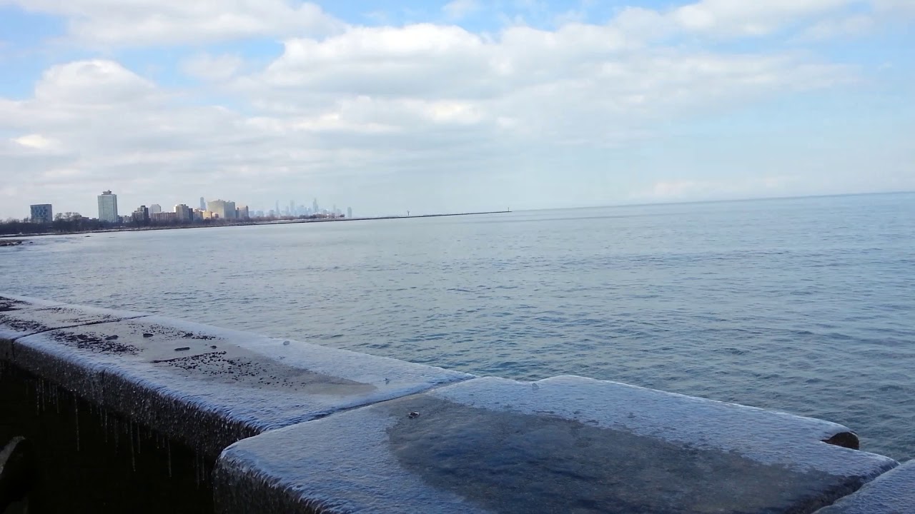 Frozen Trees in Chicago near Lake Michigan - YouTube