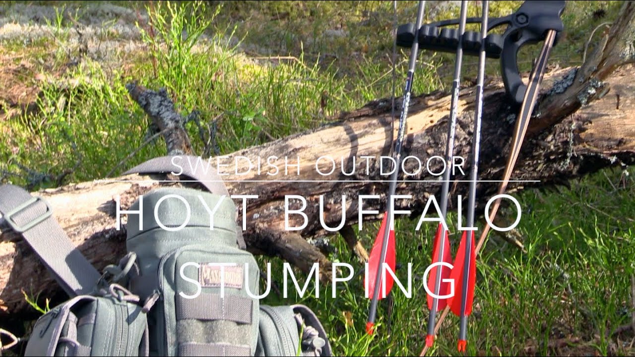 Archery Training | Stumping with the Hoyt Buffalo - YouTube