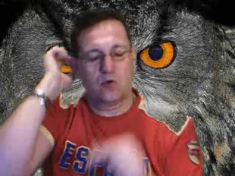 84-El buho puede girar la cabeza 360 grados - YouTube