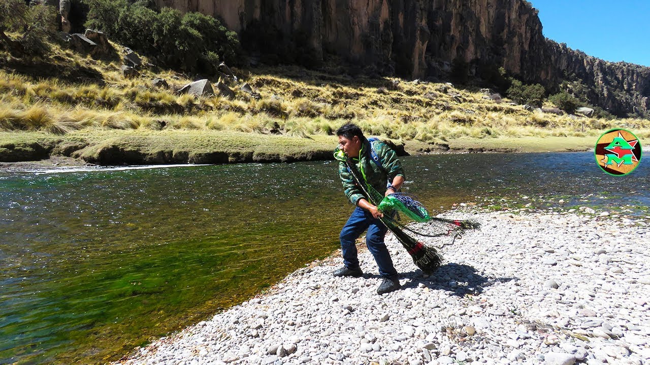 Impresionante PESCA DE TRUCHAS EN RÍO - Pescando Truchas con Atarraya ...