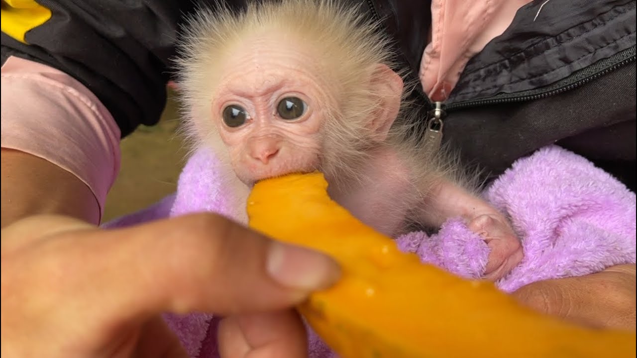 Abi sharing simple breakfast with Alien - YouTube