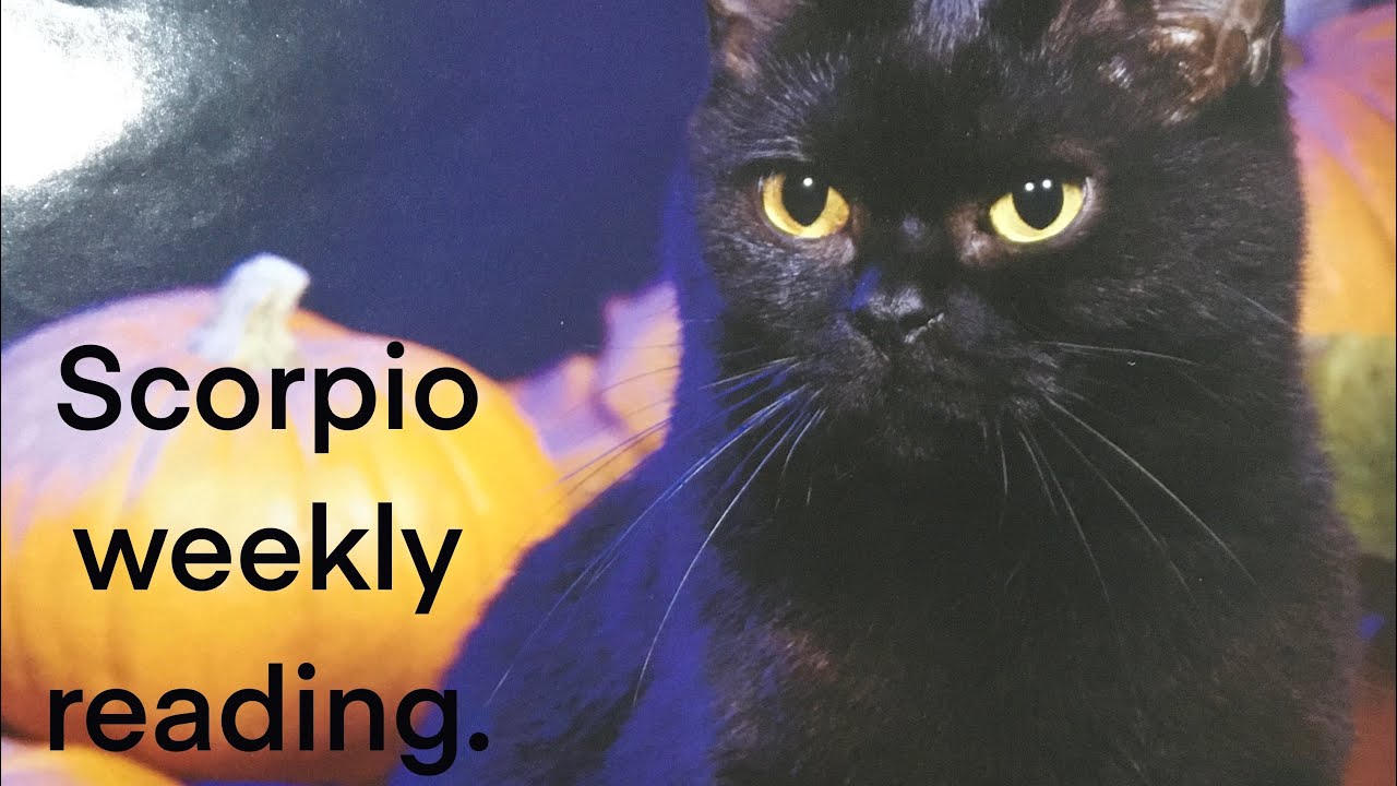 You are safe Scorpio ♏️ do your stuff 💫😎 - YouTube