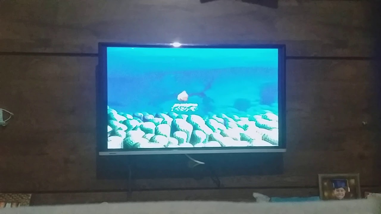 FINDING NEMO - #02 PEDRO ALEXANDRE - YouTube