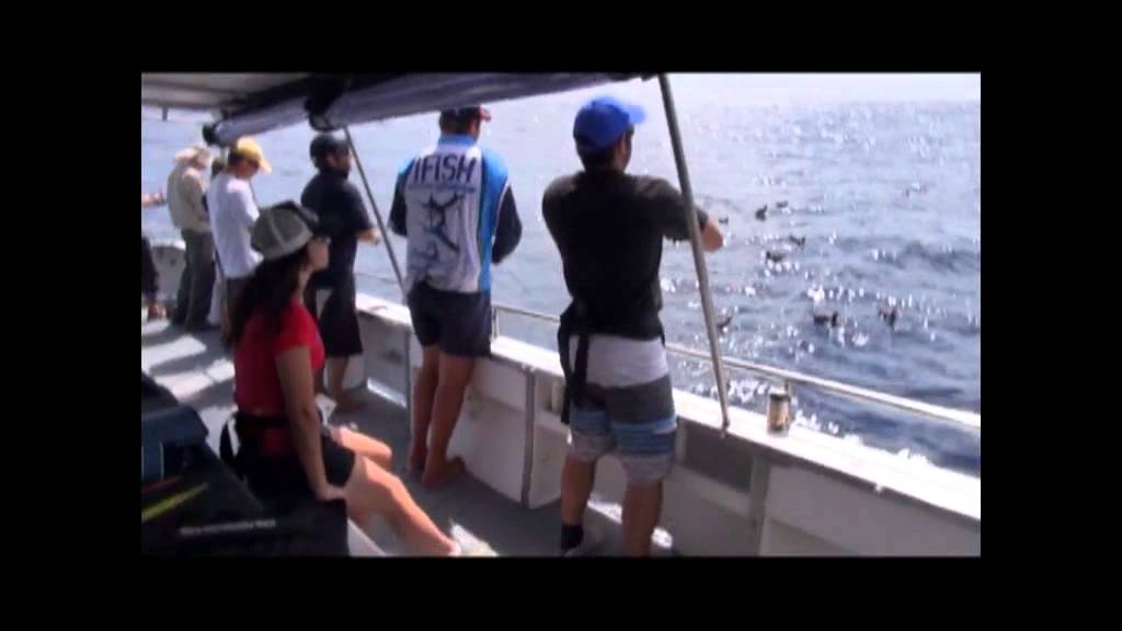 The Average Angler fishing adventures, About us - YouTube