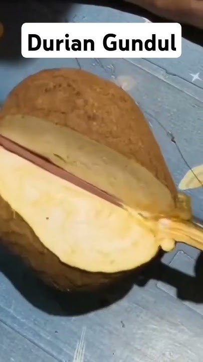 Ternyata ada durian gundul tanpa duri#fruit - YouTube