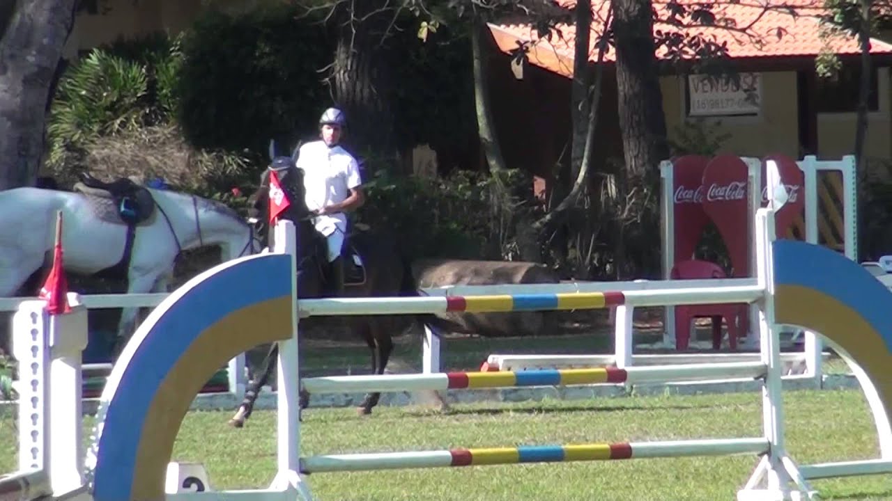 kannan x Heartbreaker - 07 years - Stallion - YouTube