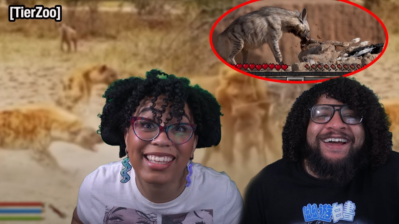 Are Hyenas Overpowered? | TierZoo Reaction - YouTube