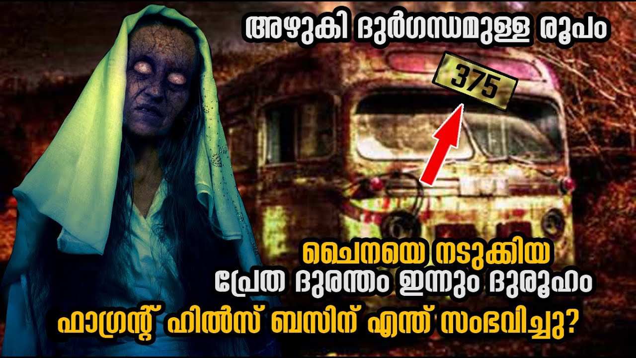 ചൈനയെ നടുക്കിയ പ്രേതം! ഫ്രാഗ്രന്റ് ഹിൽസിലേക്കുള്ള അവസാന ബസിന് എന്ത് ...