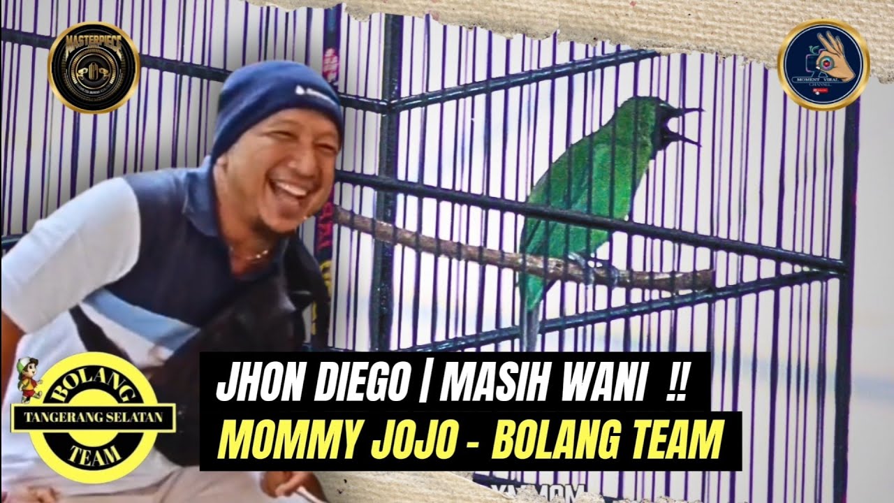 JHON DIEGO | Meski di Sisi Pojok, Cucak ijo milik Mommy Jojo BOLANG TEAM Tampil Gemilang - YouTube