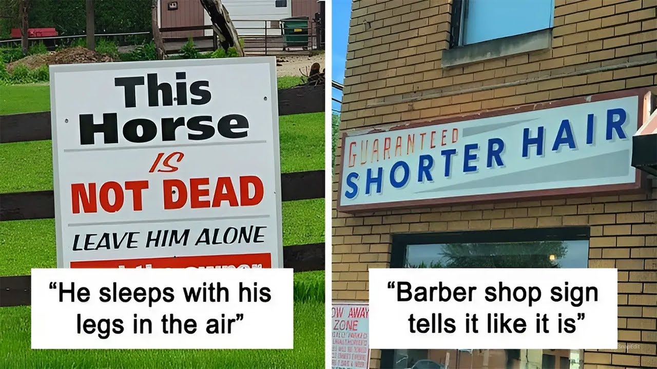 Funny And Confusing Signs, As Shared By This Online Community - YouTube