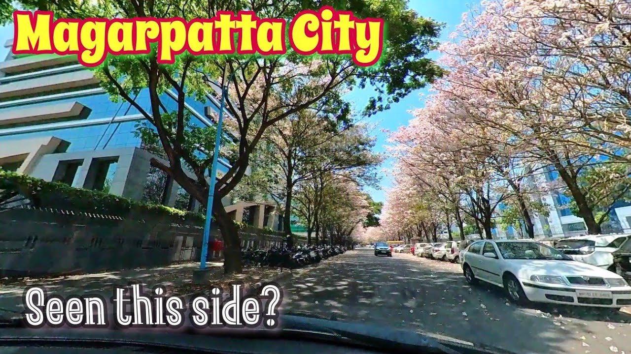 Magarpatta City | Spring Blossom | Return to work | Back to Office ...