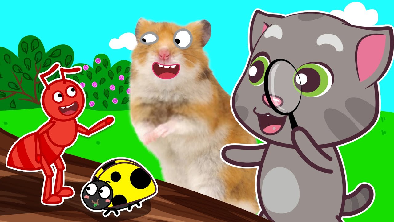 Hamster and Talking Tom explore the animal world and rescue Baby Ants ...