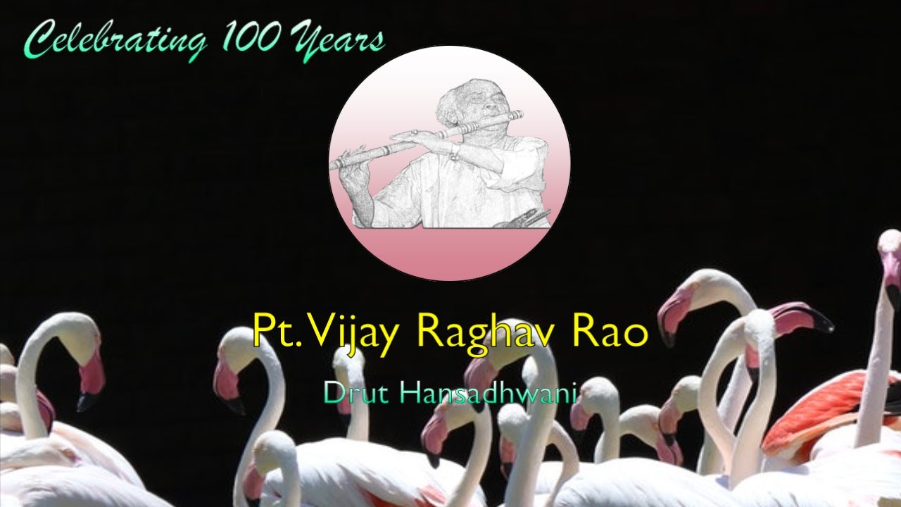 Pt. Vijay Raghav Rao - Drut Hansadhwani clip - YouTube