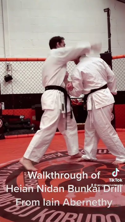 Heian Nidan / Pinan Shodan Kata Bunkai Drill learned from Iain Abernethy - YouTube