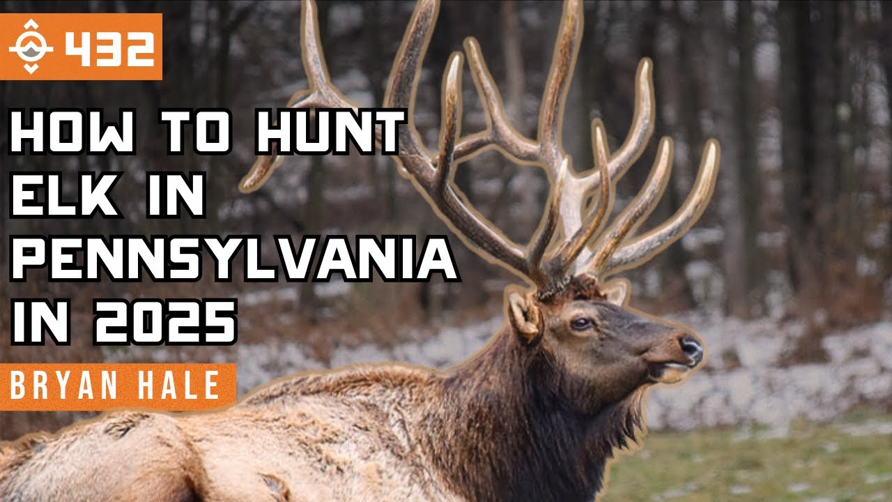 How to Hunt Elk in Pennsylvania in 2025 (EVERYTHING You Need to Know to ...