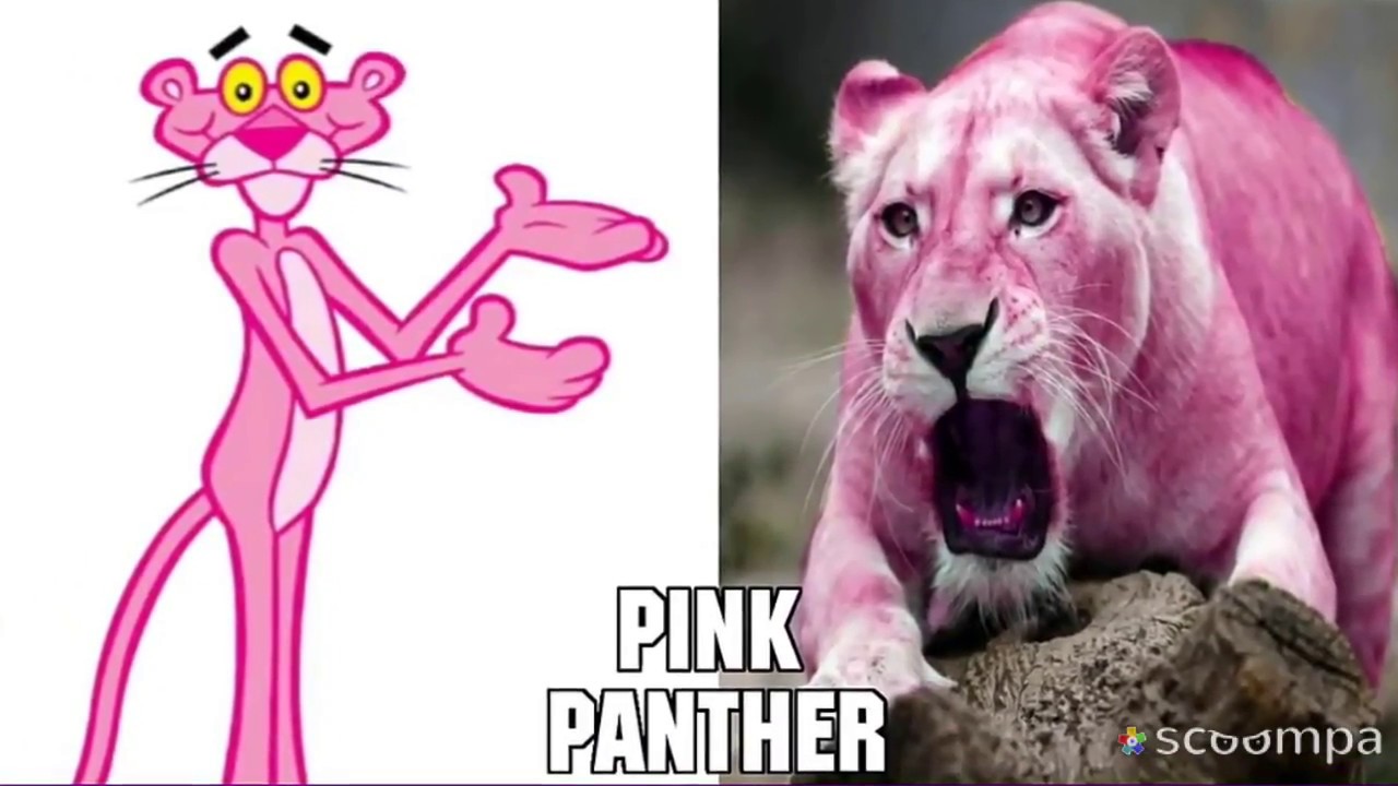 Pembe Panter karakterlerinin gerçek halleri - YouTube