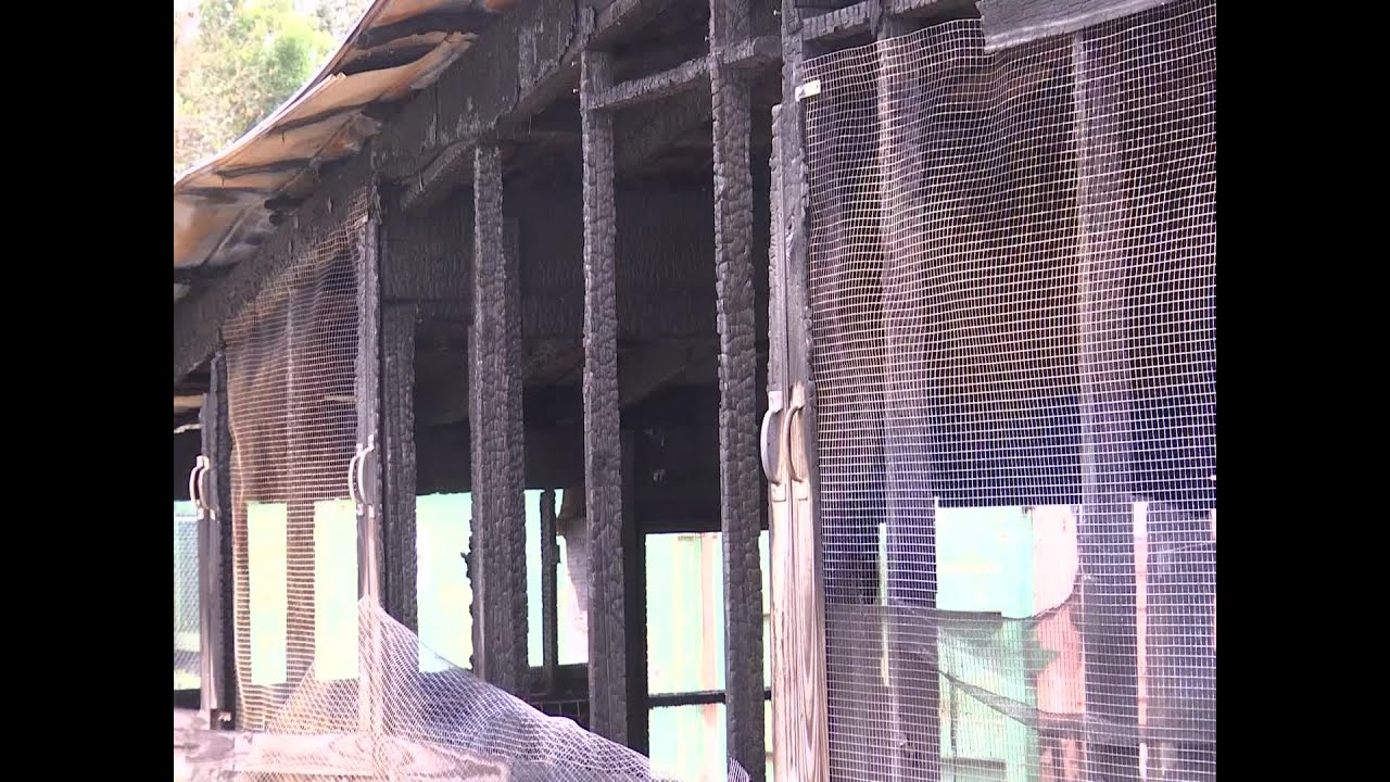 Music Man's BBQ to reopen at temporary location - YouTube