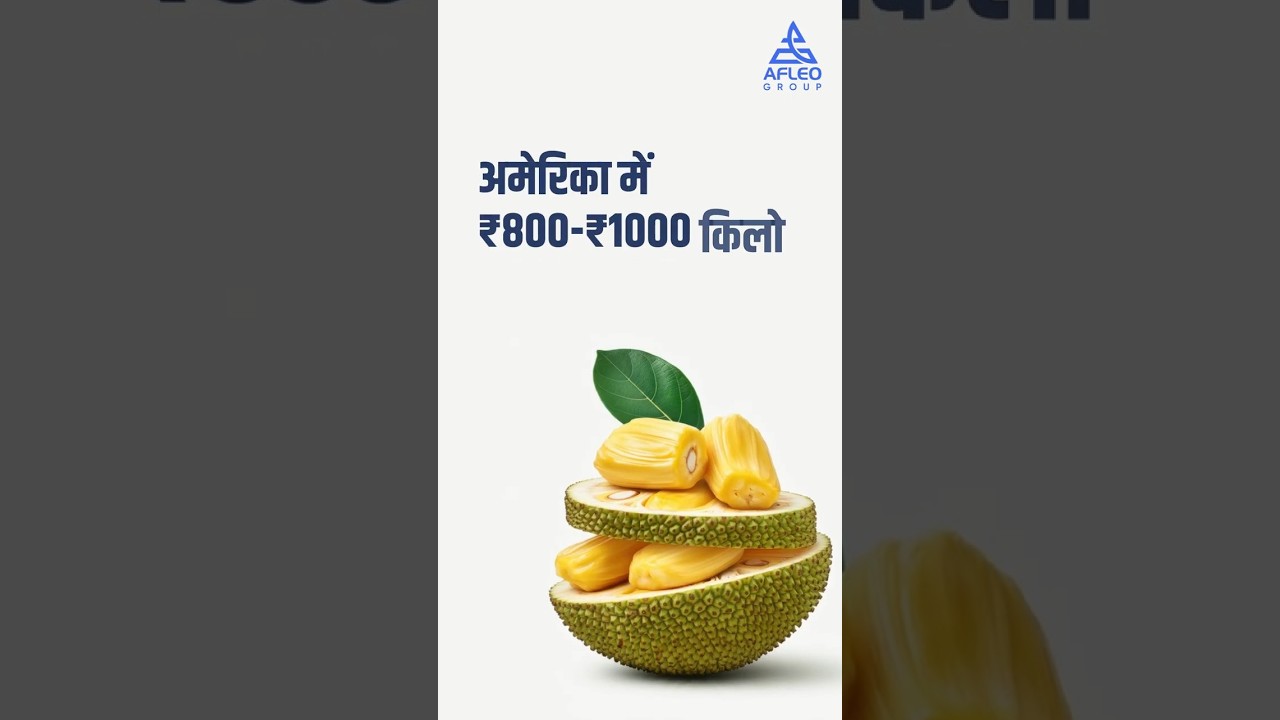 ASEAN-India Free Trade Area (AIFTA) – Handbook for Indian Exporters