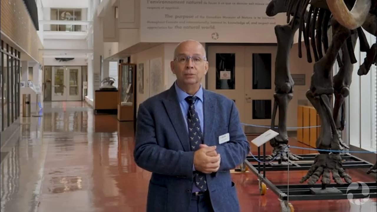 Collections de géologie - Musée canadien de la nature