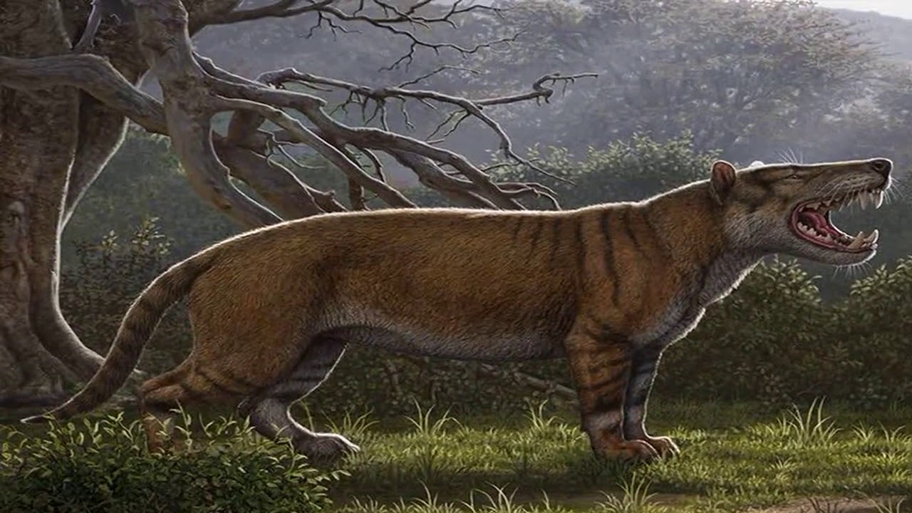 Fearsome ancient carnivore discovered after fossil lingered for decades ...
