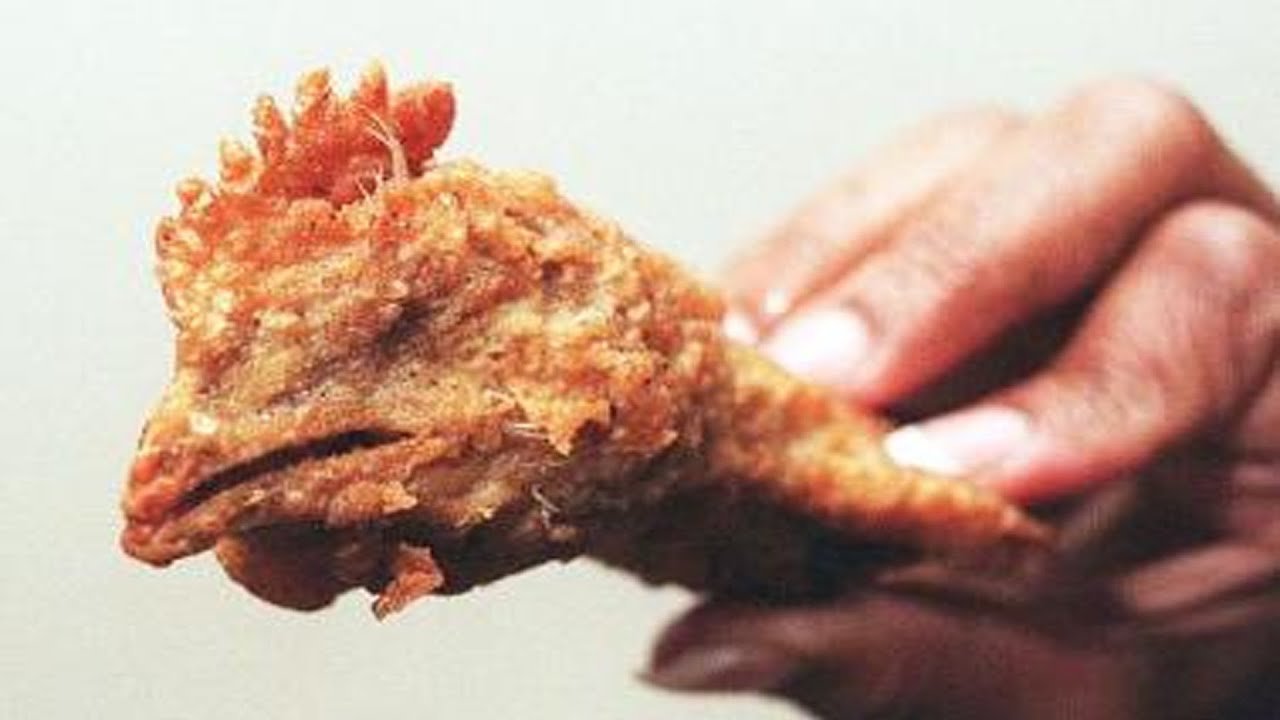 5 MOST DISTURBING THINGS FOUND IN FOOD - YouTube