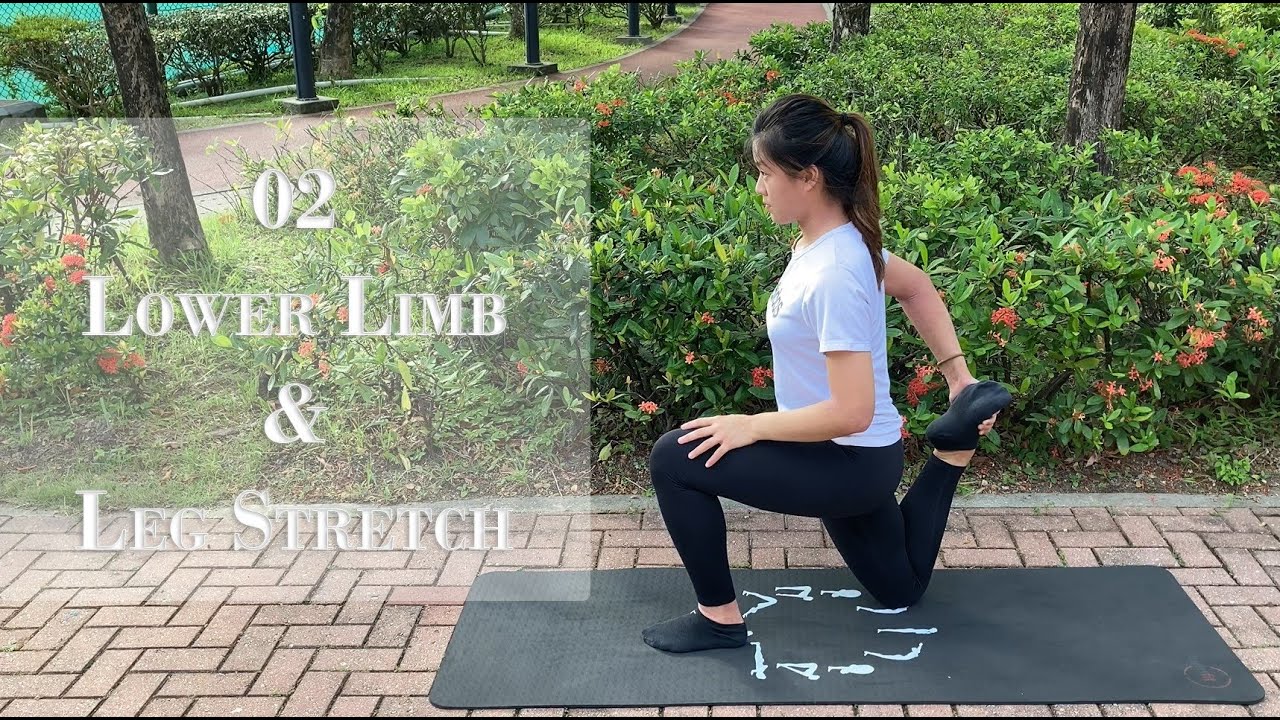02_Lower Limb and Leg Stretch - YouTube