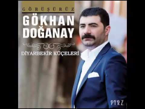 GÖKHAN DOĞANAY Diyarbakır Küçeleri