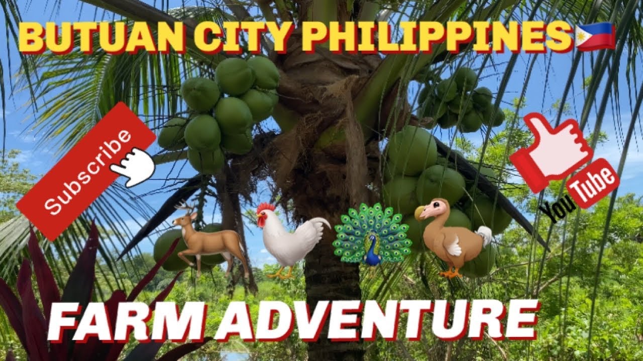 BUTUAN CITY PHILIPPINES🇵🇭ENJOYABLE FARM ADVENTURE 2024 - YouTube