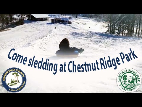Come sledding with us at Chestnut Ridge Park! - YouTube