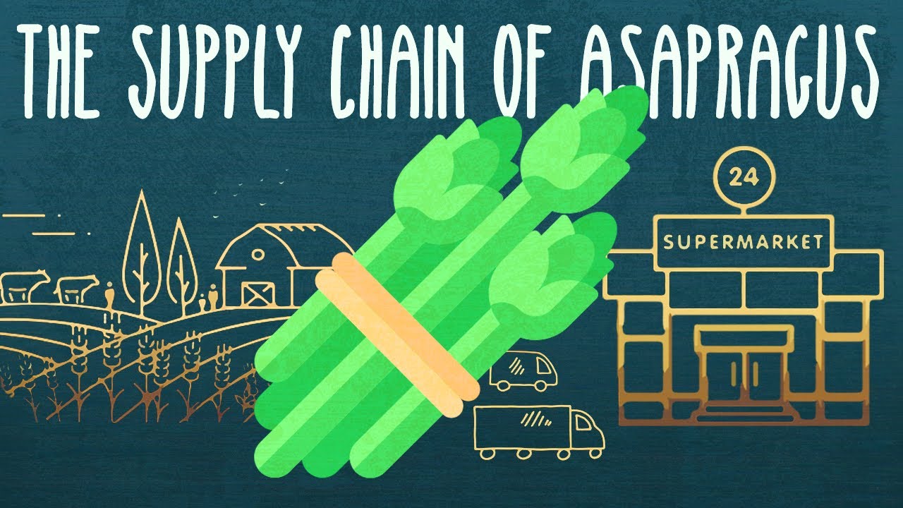 The Epic Journey of Food | Process Explained Simply | Food Supply Chain ...