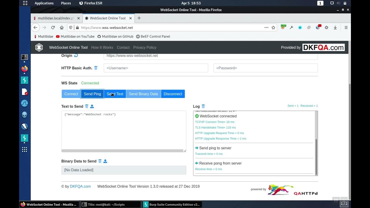 Mutillidae: Lab 3 Walkthrough - YouTube