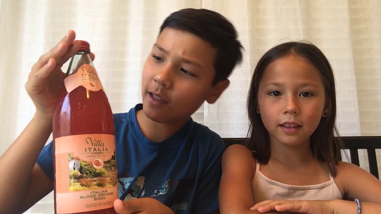 TJ Snacks reviews grass fed beef stick and blood orange soda - YouTube