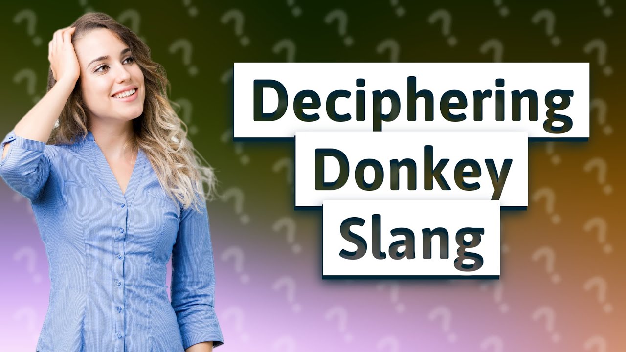 What is a donkey in slang? - YouTube