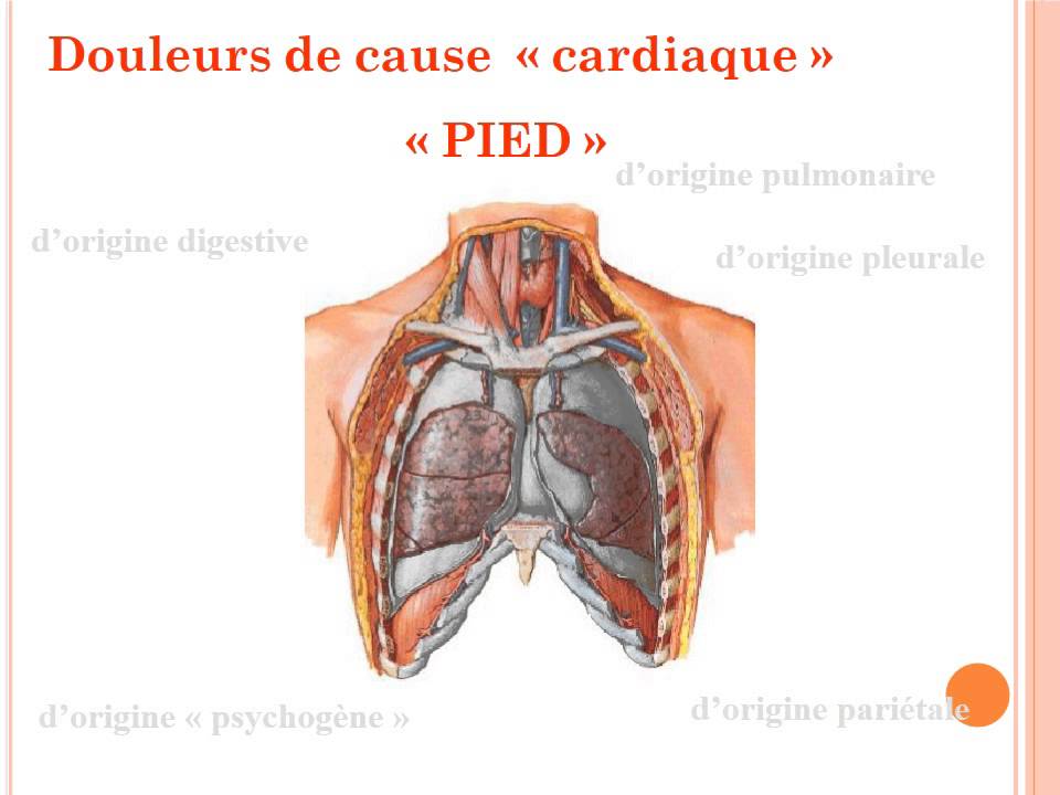 SEMIOLOGIE Douleurs thoraciques - YouTube